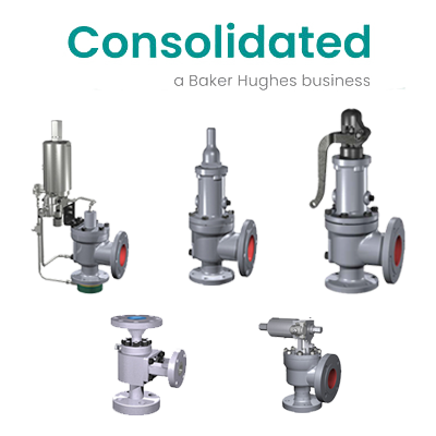 Válvulas de Consolidated - ValvSmart